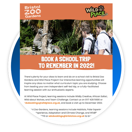 Sell Educational Resources to Schools | Buzz Education